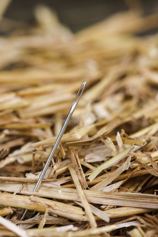 Needle in a haystack stock image. Image of discover, discovery - 35815479