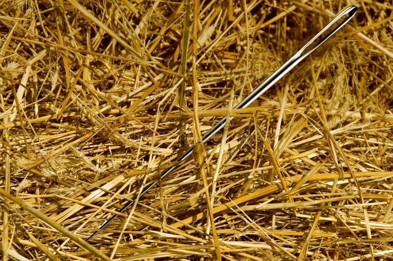 Needle in a haystack stock image. Image of discover, discovery - 35815479