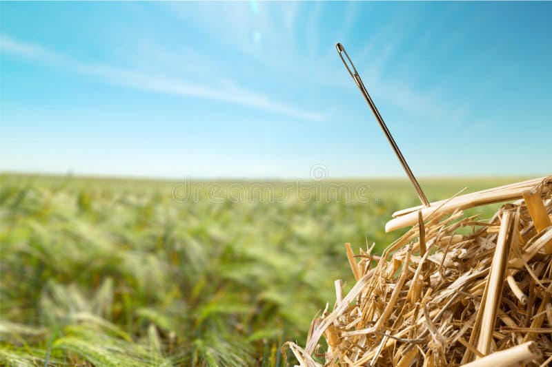 Needle in a Haystack stock image. Image of needle, sewing - 58671295
