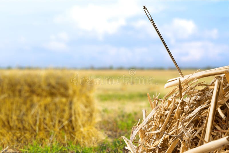 Needle in a Haystack stock image. Image of obscured, golden - 1606553