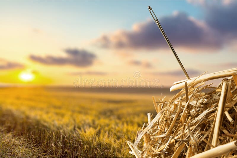 Needle in a Haystack stock image. Image of haystack, hard - 59995865