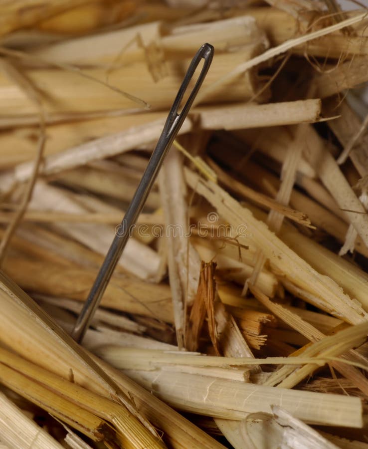 Needle in Haystack stock photo. Image of faith, match, effort - 357136