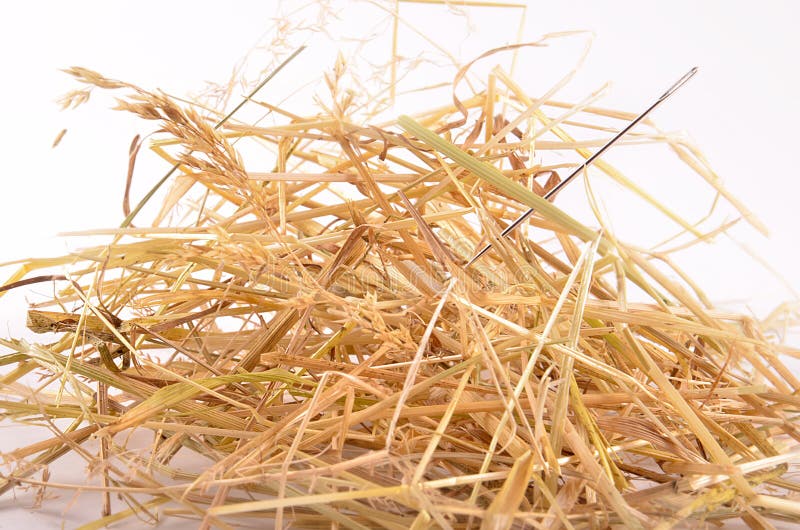 Needle in a Haystack stock image. Image of haystack, hard - 59995865