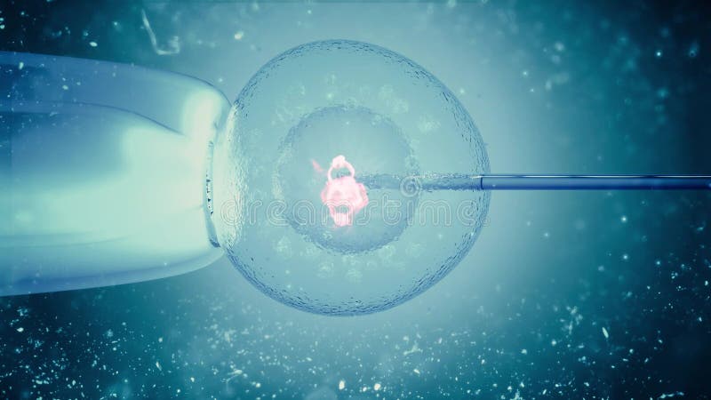 Needle Injecting Biologic Material into Cell, DNA Experiment. Cell ...
