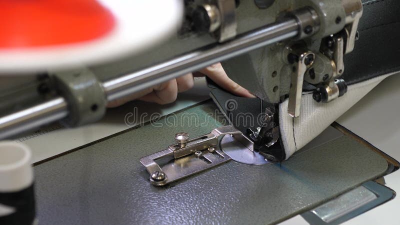 Needle of the Sewing Machine Quickly Moves Up and Down. Process of ...