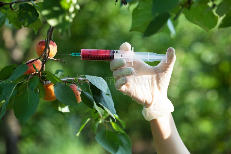 1,077 Gene Injection Stock Photos - Free & Royalty-Free Stock Photos ...