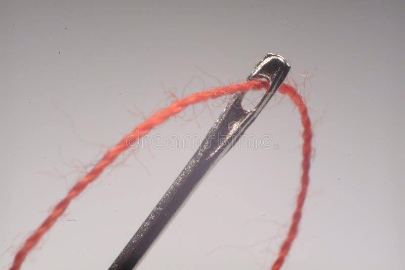 Needle and Thread, Macro stock photo. Image of blossoms - 272754386