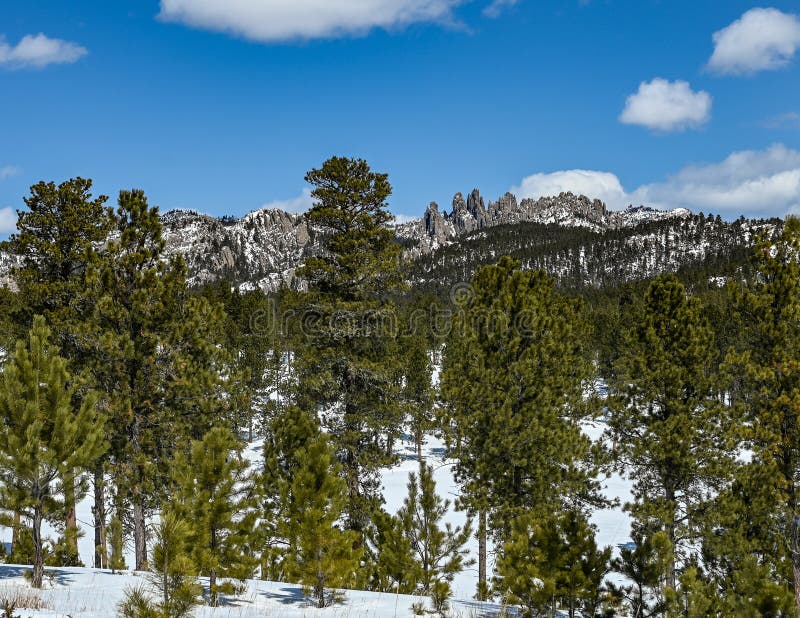 The Needles in Custer State Park Stock Image - Image of coniferous ...