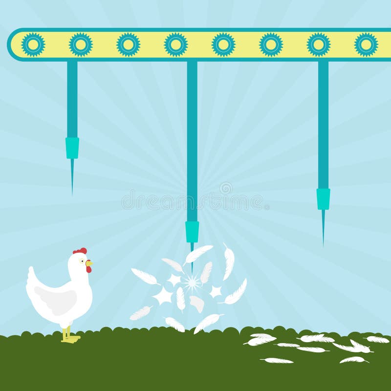 Pluck Chicken Stock Illustrations – 176 Pluck Chicken Stock ...