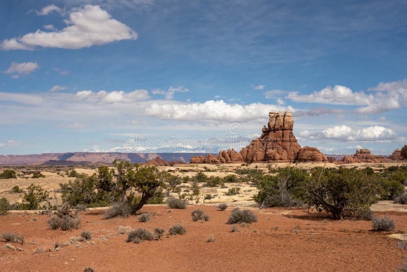 Needles Formation Along the Devils Kitchen Trail in Canyonlands Stock ...