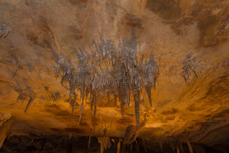 Needles Hanging from the Ceiling Stock Image - Image of mountain ...