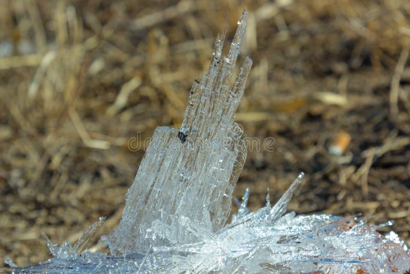 Needles of ice stock photo. Image of grass, abstract - 39277296