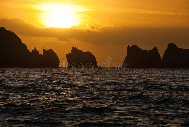 Needles stock image. Image of beautyfull, decorative - 64219017