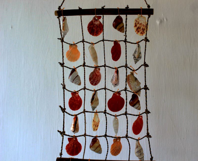 Shells on a string stock image. Image of pattern, string - 101696549