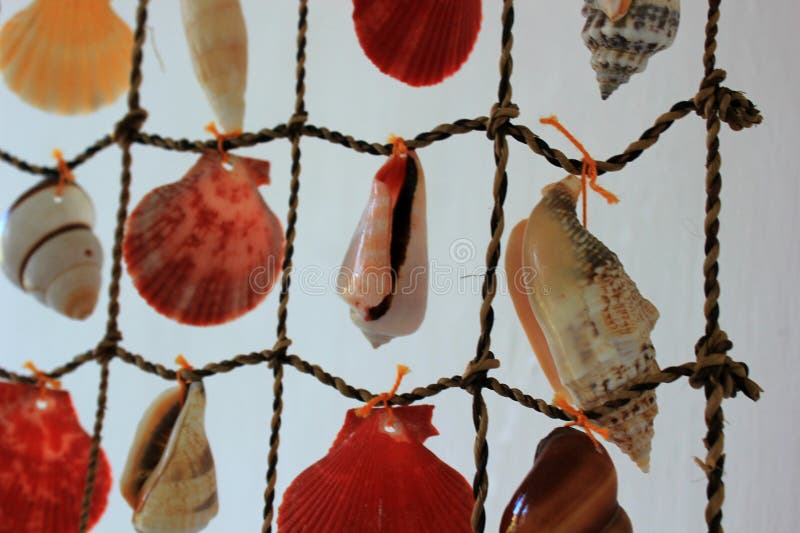 Shells on a string stock image. Image of pattern, string - 101696549