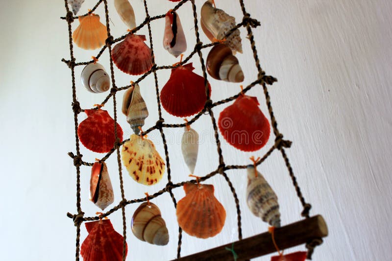 Shells on a string stock image. Image of pattern, string - 101696549