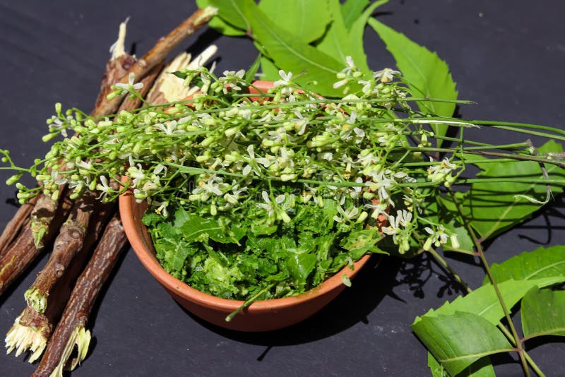 Neem Leaves and Flowers with Ayurvedic Nim Paste ,neem Paste and ...