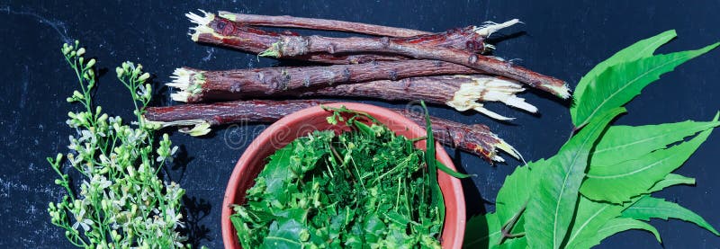 Neem Leaves and Flowers with Ayurvedic Nim Paste ,neem Paste and ...