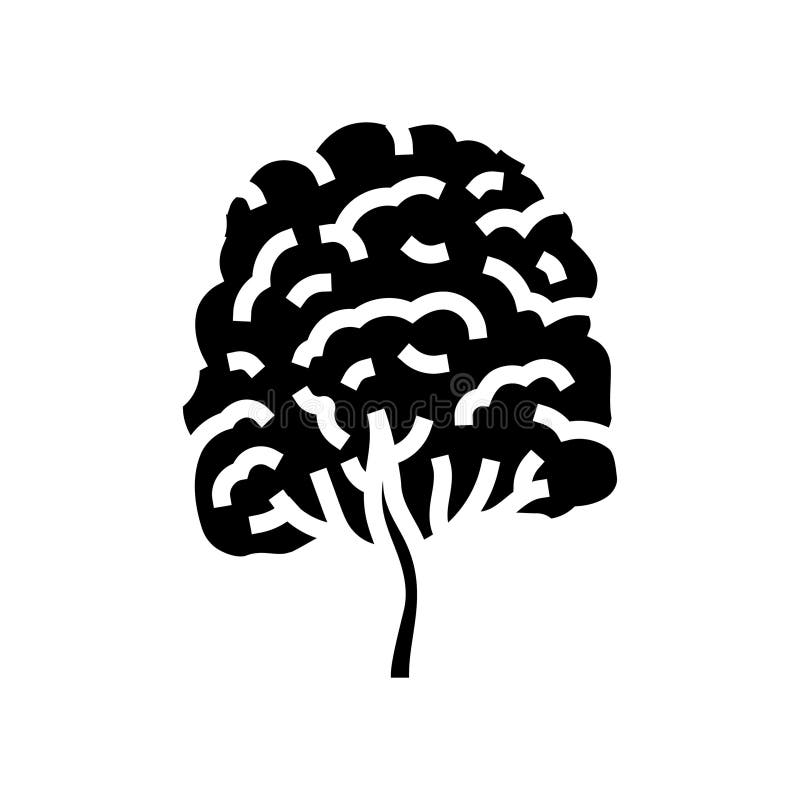 Neem Tree Jungle Amazon Glyph Icon Vector Illustration Stock ...