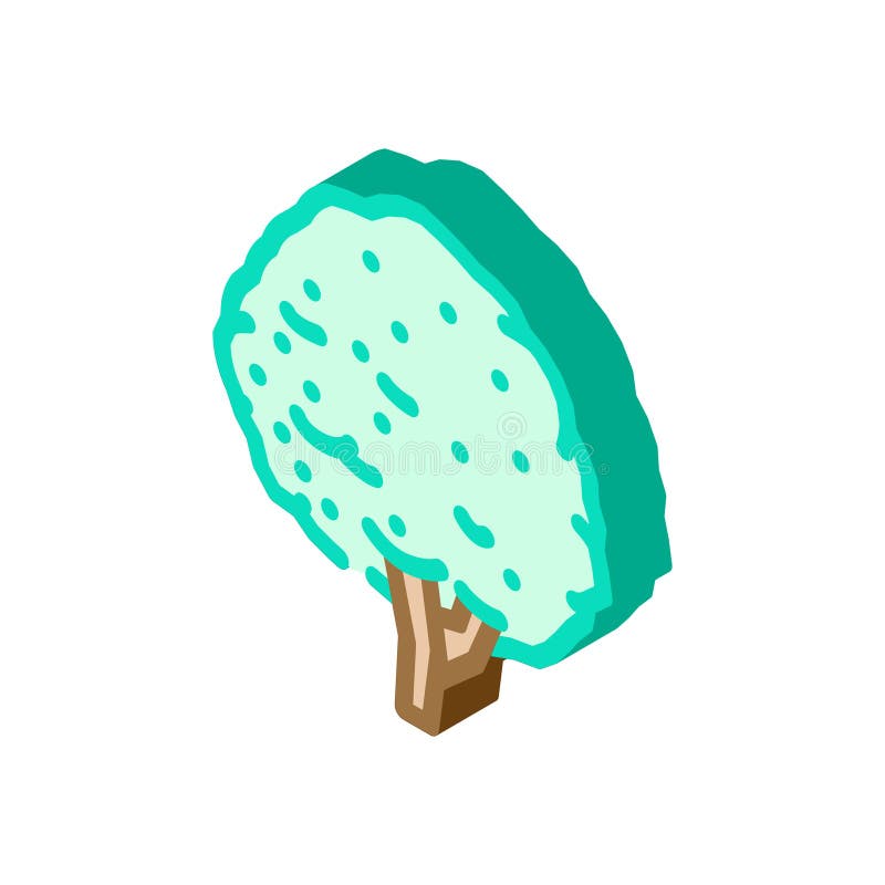 Neem Tree Jungle Amazon Isometric Icon Vector Illustration Stock Vector ...