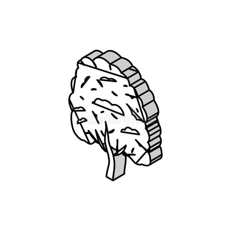 Neem Tree Jungle Amazon Isometric Icon Vector Illustration Stock Vector ...