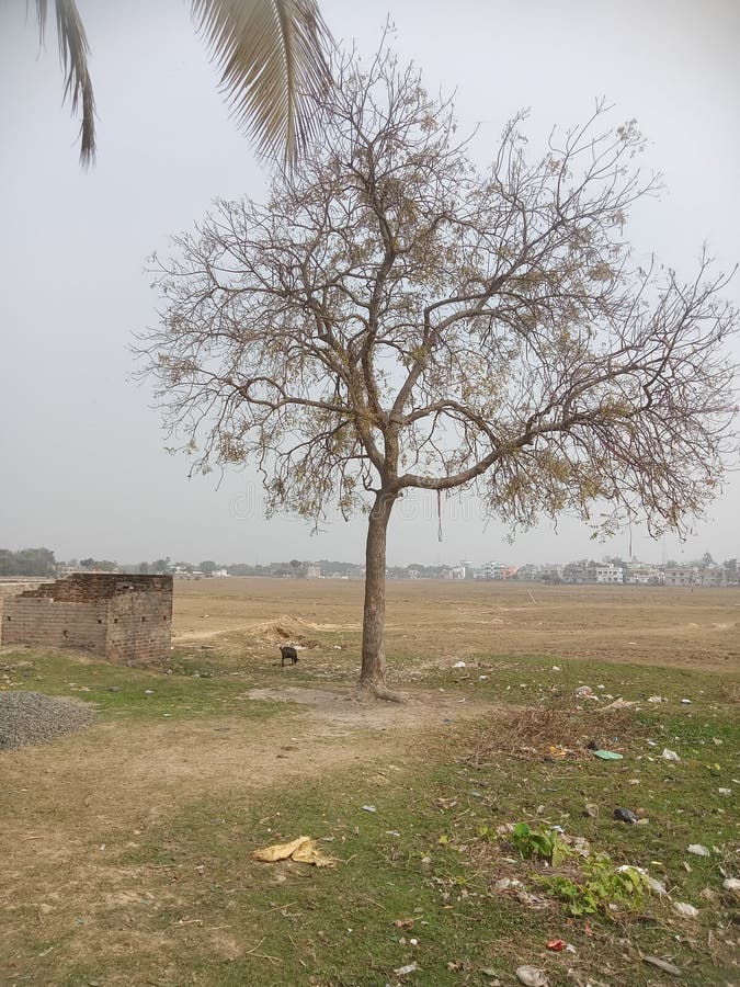 Naturestay Stock Photos - Free & Royalty-Free Stock Photos from Dreamstime