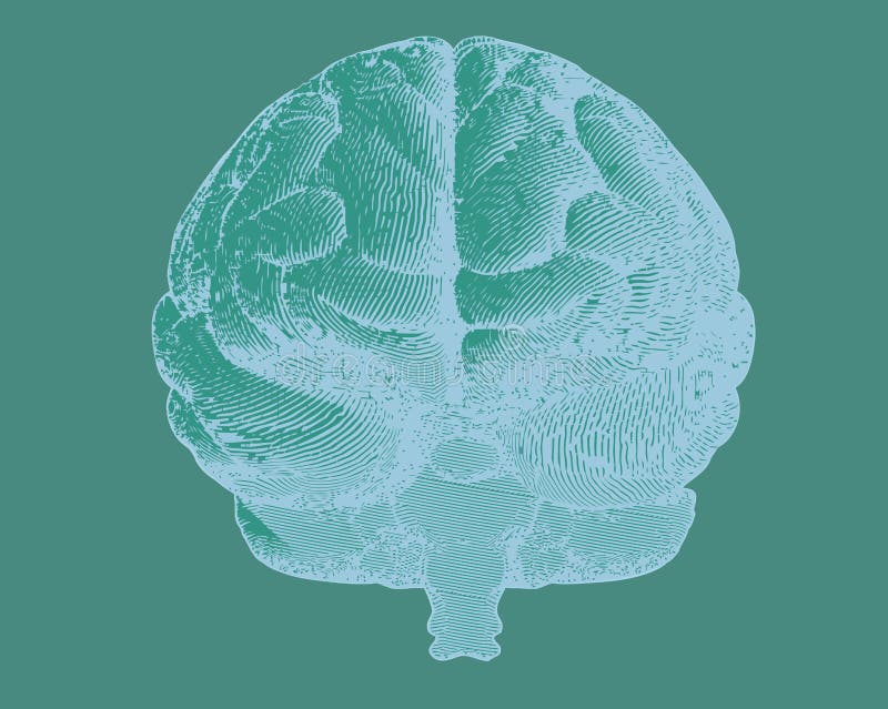 Negative Engraving Brain in Front View on Green BG Stock Vector ...