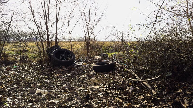 The Negative Impact of Irresponsible People on the Natural Environment ...