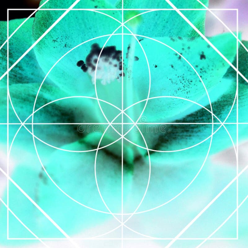 Negative Nature stock image. Image of geometric, artwork - 94046575