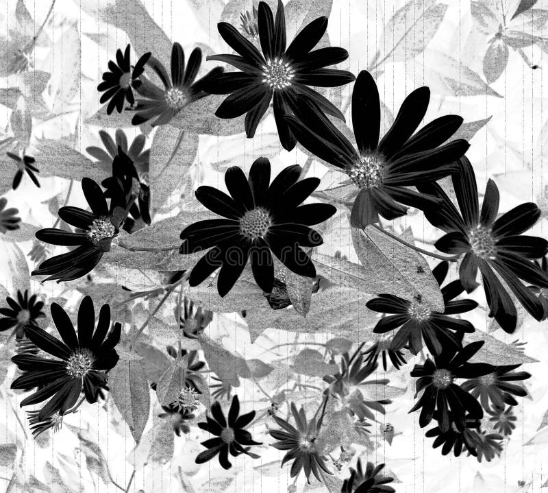 Negative Side Daisy Wallpaper Stock Image - Image of colors, lovely ...