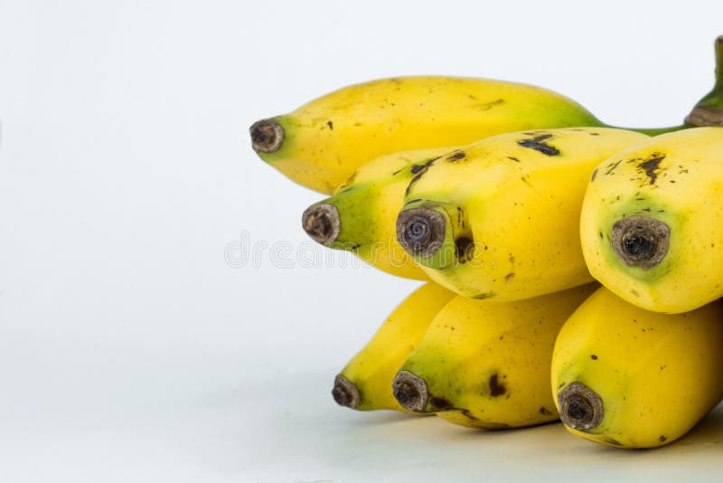 Negative Space Ultrasound Sheet on White Background Stock Image - Image ...