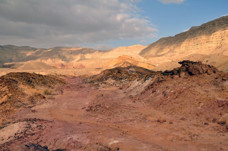 Srael, Negev, Desert. Close Up of the Mountains and the Planting on the ...