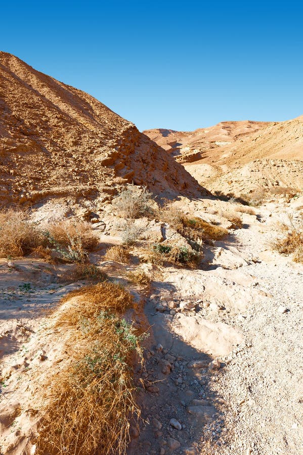 Negev Desert stock photo. Image of dune, country, formation - 88340720