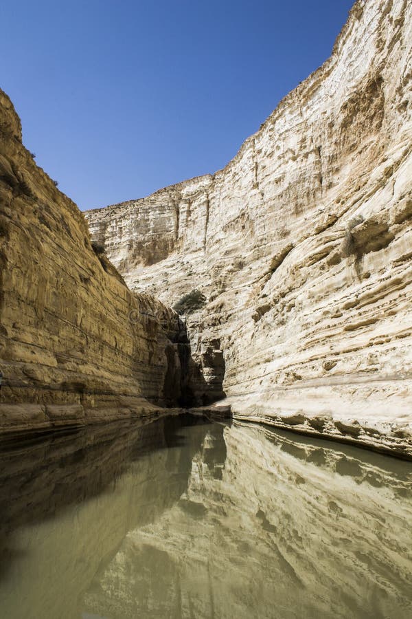 Negev river in the desert stock photo. Image of erosion - 43917434