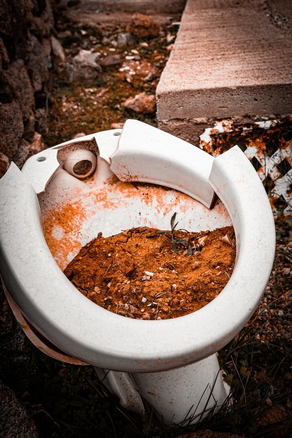 Neglect in Nature stock image. Image of filth, hazard - 312069947