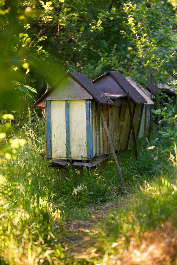 Neglected Beehives Located in an Old Orchard Stock Photo - Image of ...