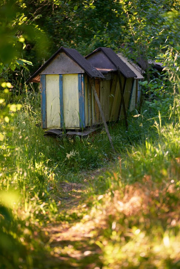 Neglected Beehives Located in an Old Orchard Stock Photo - Image of ...
