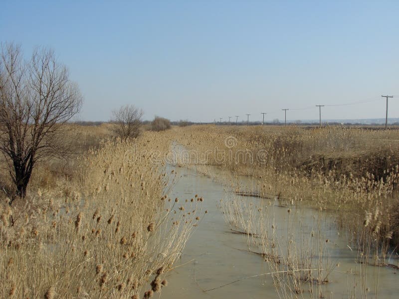 Neglected Irrigation Canal Stock Photos - Free & Royalty-Free Stock ...