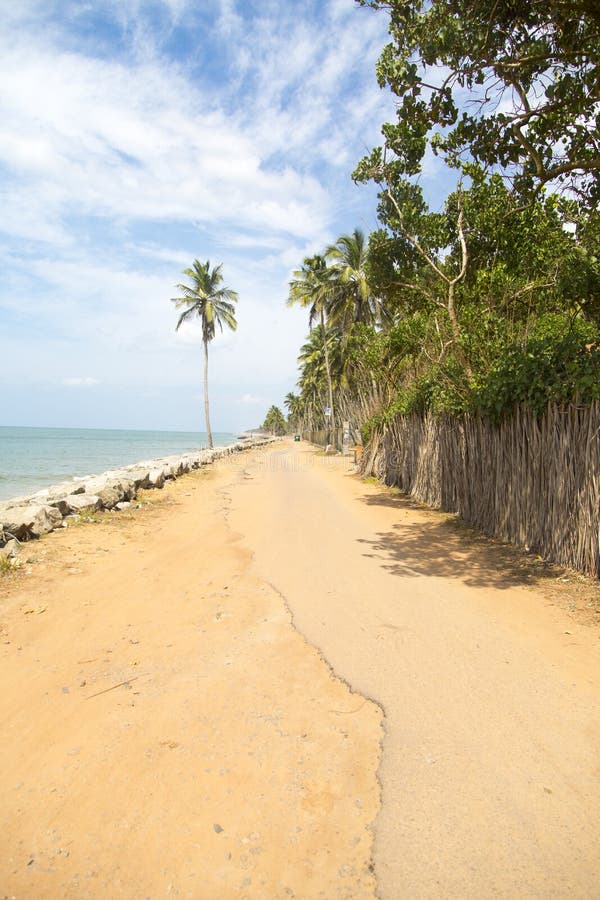 Negombo beach, Sri Lanka stock image. Image of sunny - 39517087