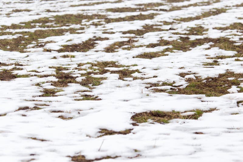 Bosse D'onde De Sol De Neige Photo stock - Image du lumineux, bumps ...