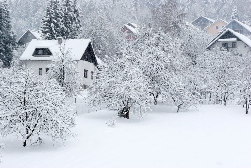 Neige d'automne photo stock. Image du arbre, vacances - 8106982