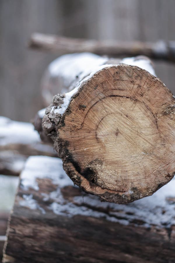 Neige sur des rondins photo stock. Image du neige, branchement - 97302402