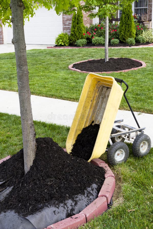 Neighborhood Beautification Stock Image - Image of backyard, cultivate ...