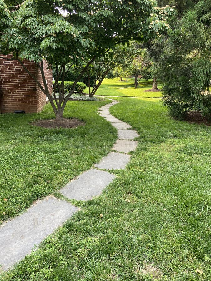 Neighborhood Path through the Green Grass in Spring in June Stock Image ...