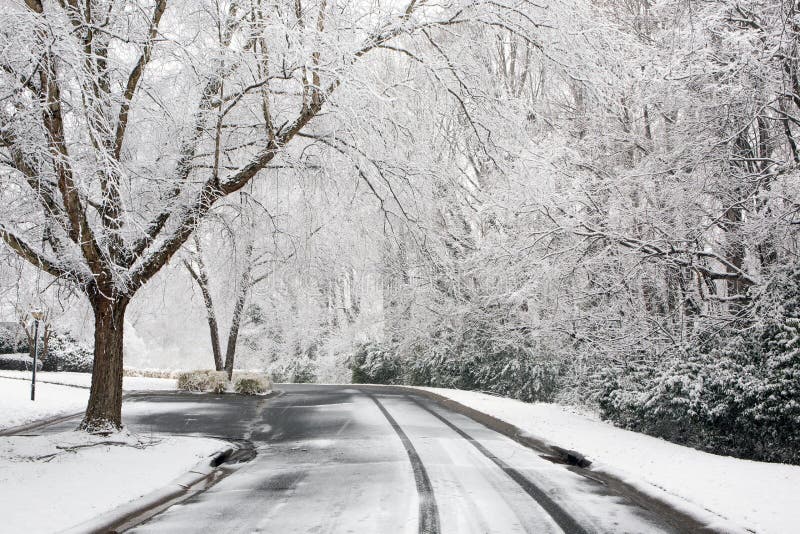 Road with Trees and Falling Snow Stock Image - Image of north, freezing ...