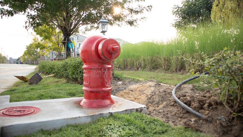 Neighborhood Setting with a Red Fire Hydrant As the Central Focus. the ...
