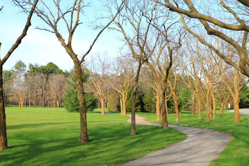 Neighborhood trail stock image. Image of walk, lush, spring - 19489359