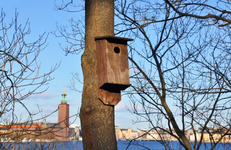 Neighbours stock image. Image of sweden, bird, urban - 24162585