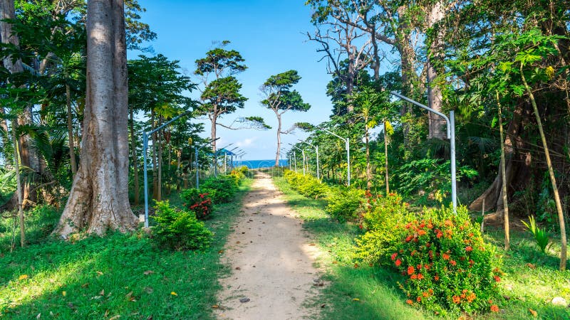 Neil Island, Shaheed Dweep, Laxmanpur Beach Stock Image - Image of ...