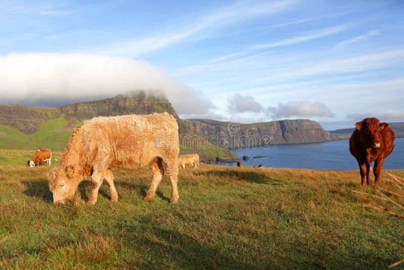 Neist Point, Isle of Skye, Scotland Stock Photo - Image of journey ...